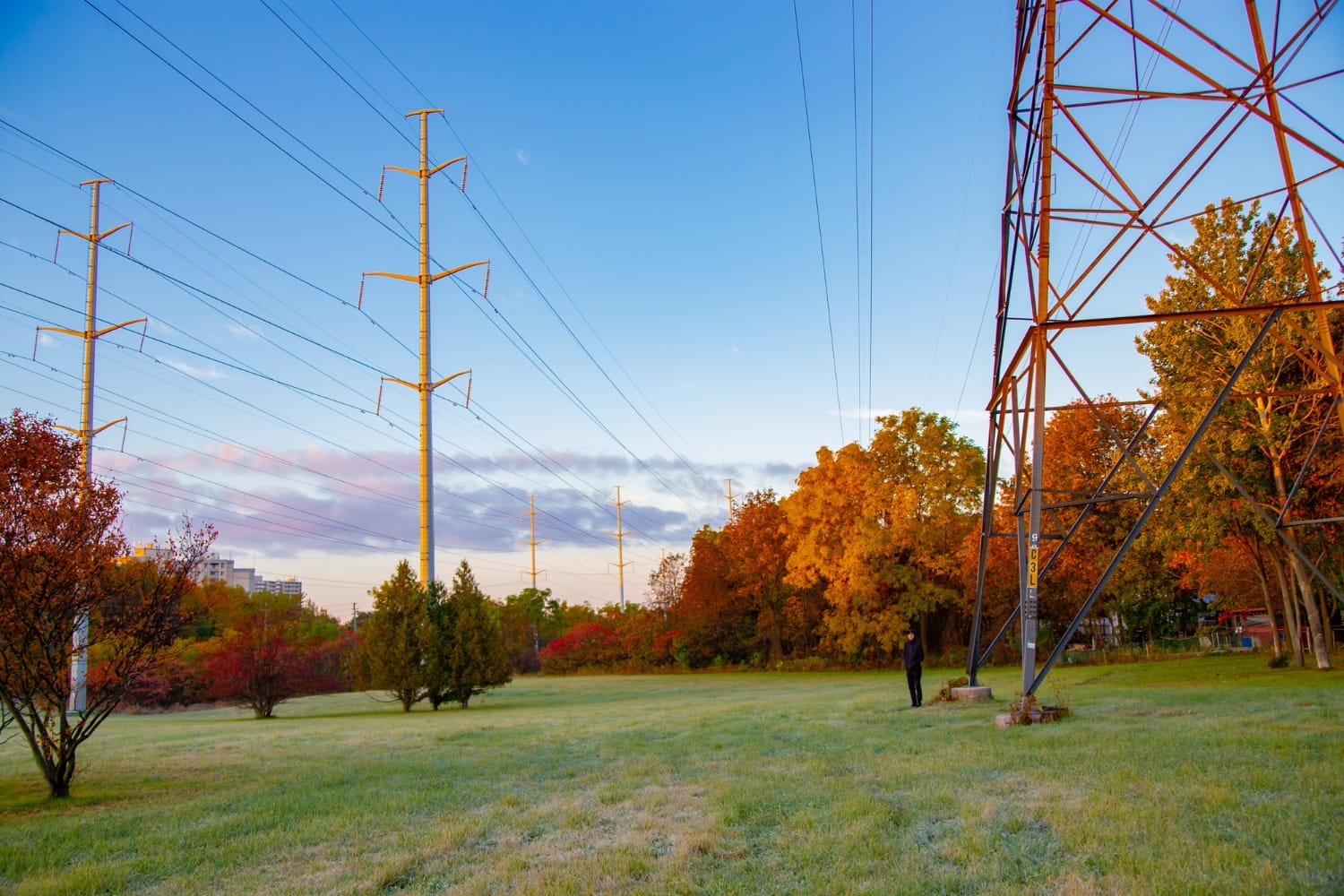 Electrical Ground Faults and Grounding Electricity: A Complete Guide to ...